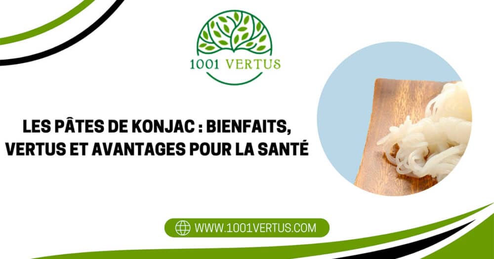 Pâtes de konjac | Zoom sur ses nombreux bienfaits